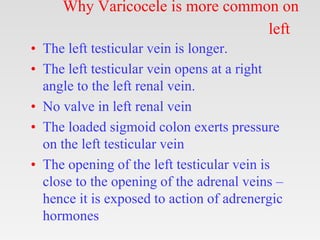 Varicocele,hematocele,pyovele.pptx