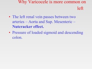 Varicocele,hematocele,pyovele.pptx