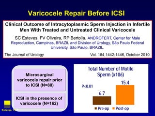 Varicocele in the ICIS Era | PDF