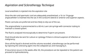 Comprehensive Overview of Scrotal Conditions: Hydrocele, Hematocele ...