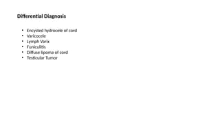 Comprehensive Overview of Scrotal Conditions: Hydrocele, Hematocele ...