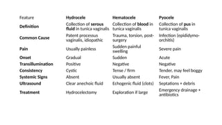 Comprehensive Overview of Scrotal Conditions: Hydrocele, Hematocele ...