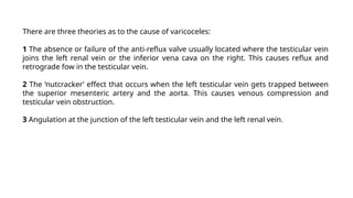 Comprehensive Overview of Scrotal Conditions: Hydrocele, Hematocele ...
