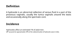 Comprehensive Overview of Scrotal Conditions: Hydrocele, Hematocele ...