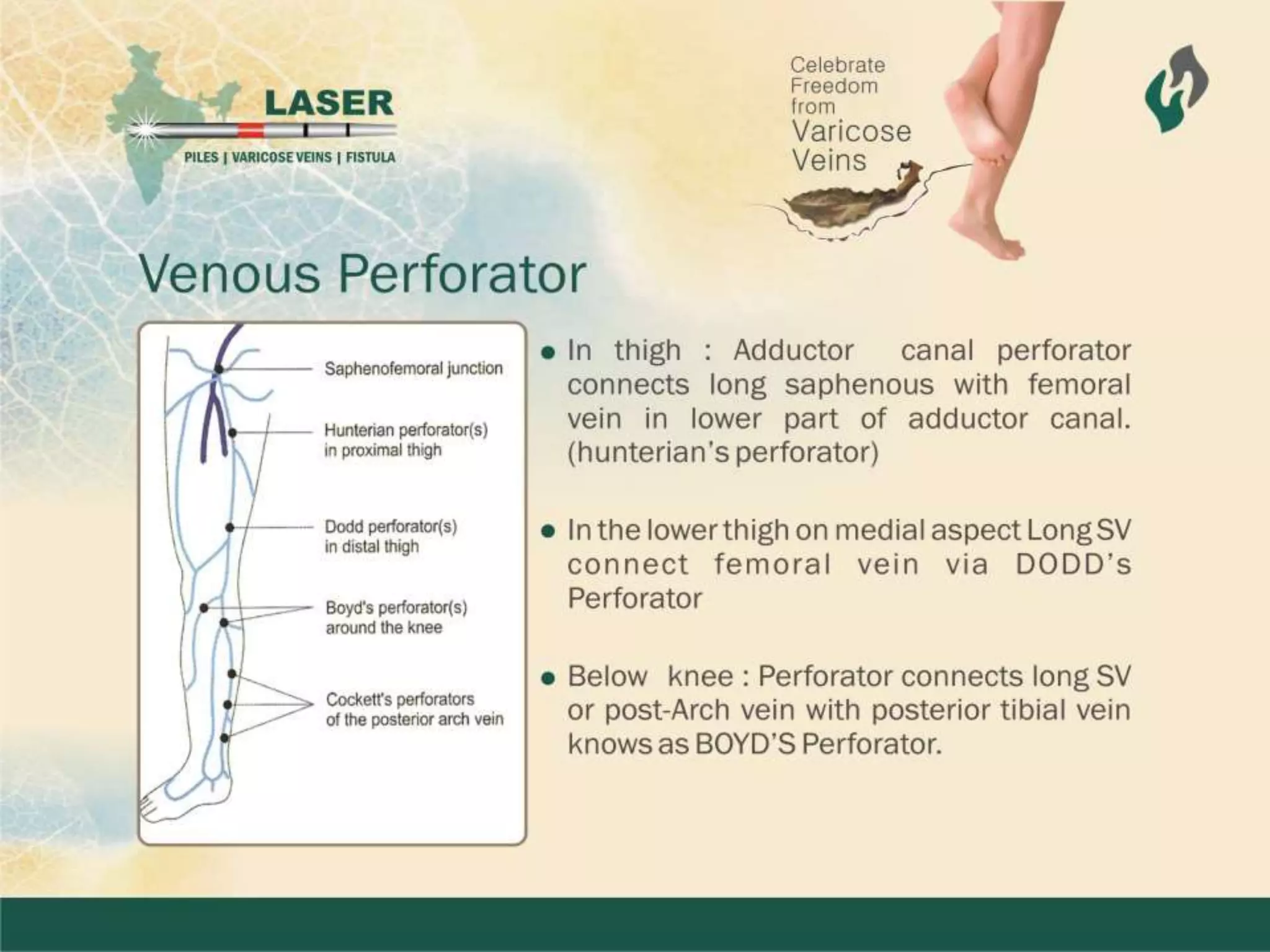 Varicose Veins | All About Varicose Veins | Varicose Veins Treatment | PPTX