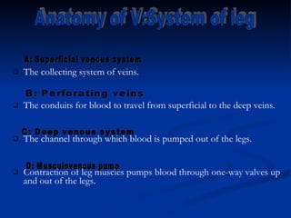 Varicose Vein | PPT