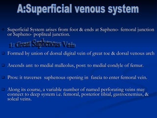 Varicose Vein | PPT