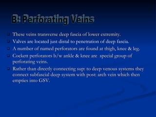 Varicose Vein | PPT
