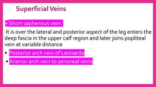 Varicose vein | PPTX