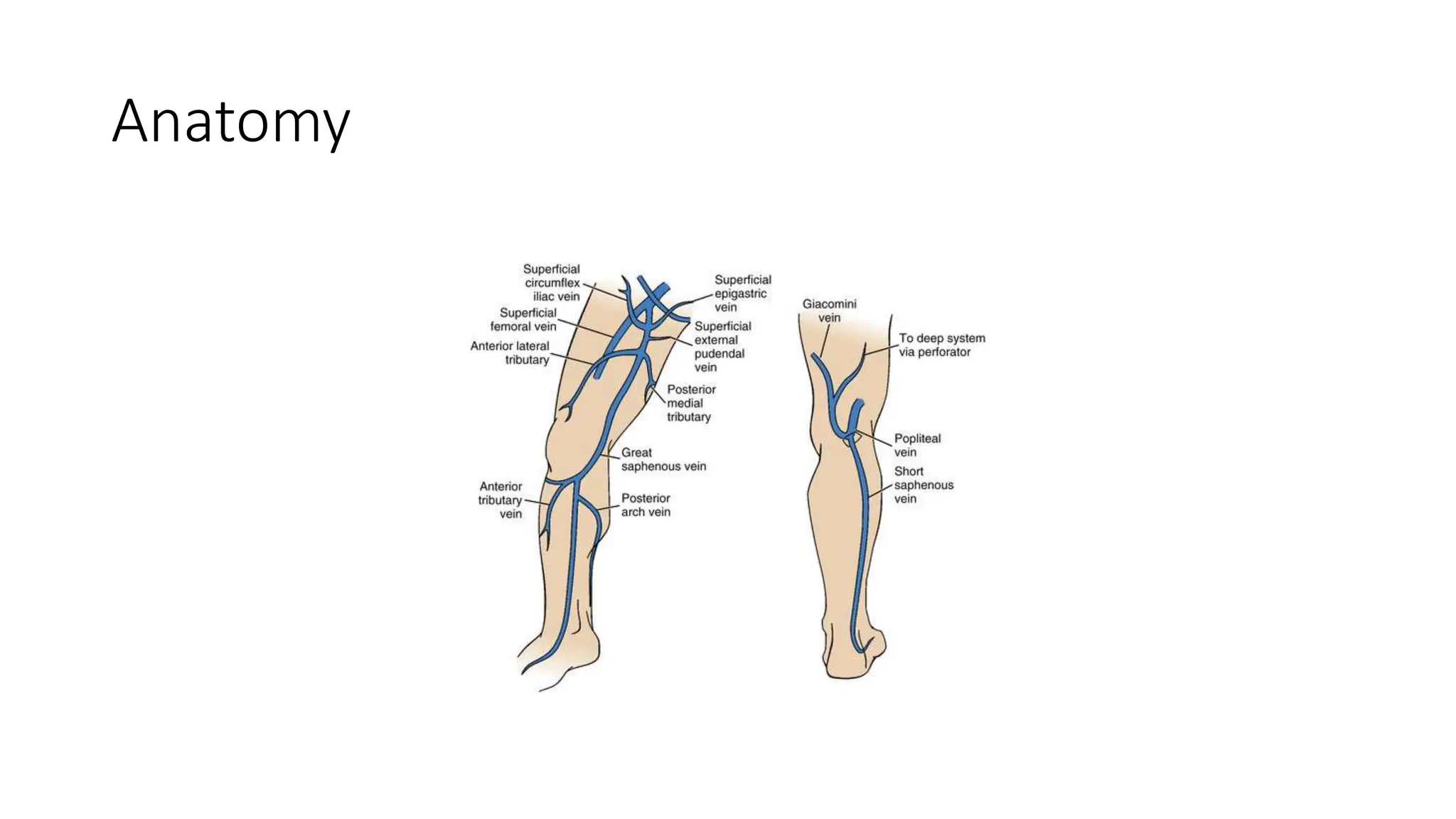 Varicose Vein Clinical Presentationpptx