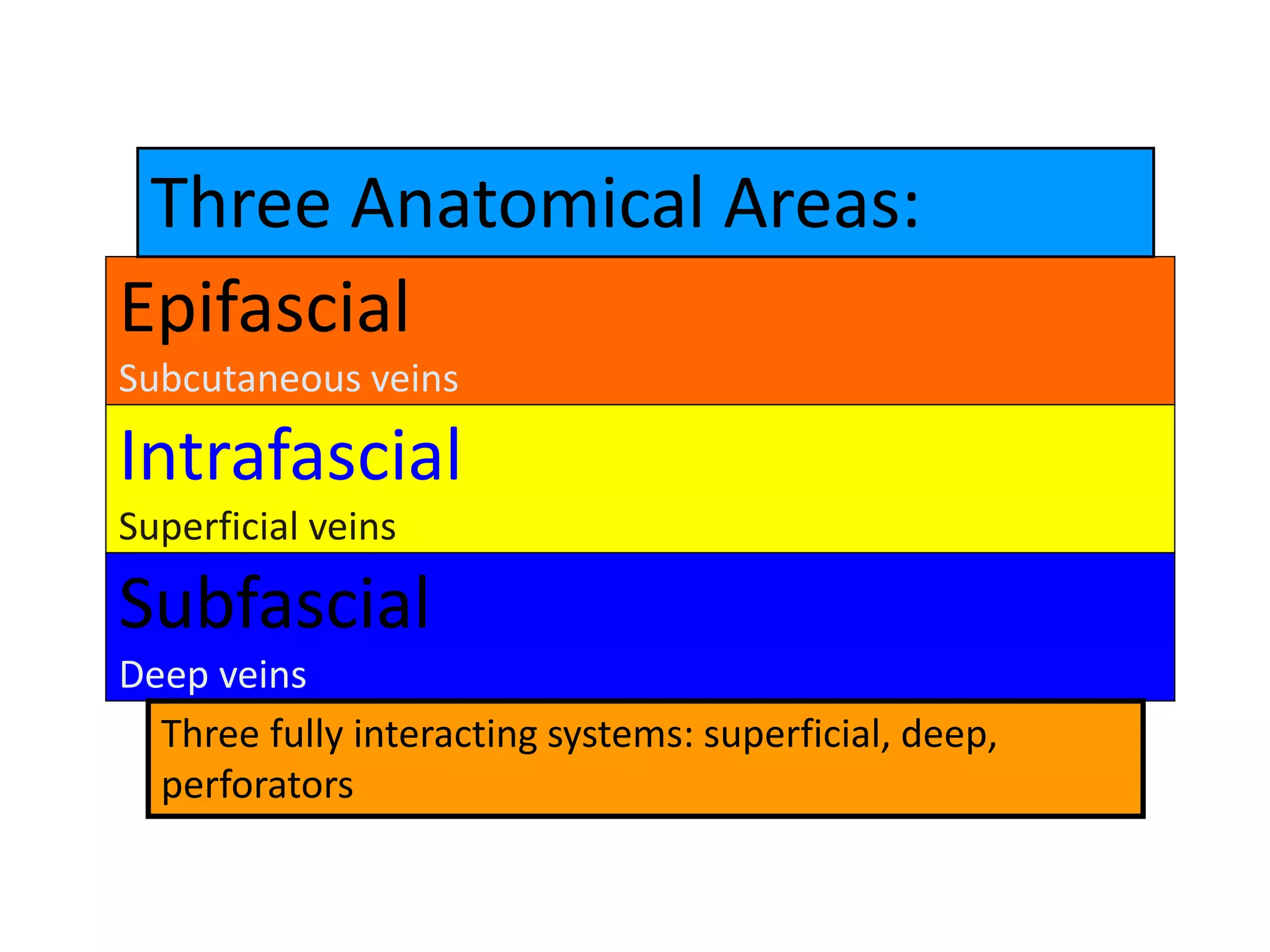 Varicose vein ANATOMY,PATHOPHYSIOLOGY & MANAGEMANT | PPTX
