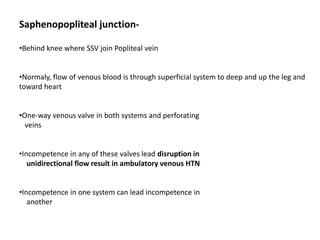 Varicose vein ANATOMY,PATHOPHYSIOLOGY & MANAGEMANT | PPTX
