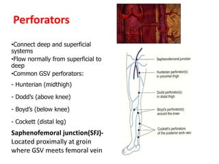 Varicose vein ANATOMY,PATHOPHYSIOLOGY & MANAGEMANT | PPT