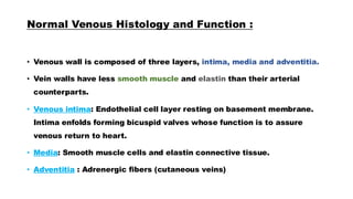 Anatomy of Varicose veins and its management | PDF