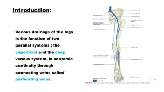 Anatomy of Varicose veins and its management | PDF