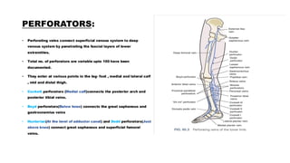 Anatomy of Varicose veins and its management | PPT