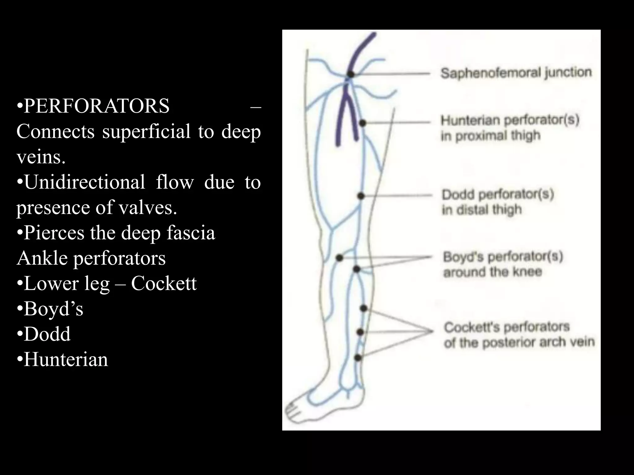Diagnosis and radiological management of varicose vein | PPTX
