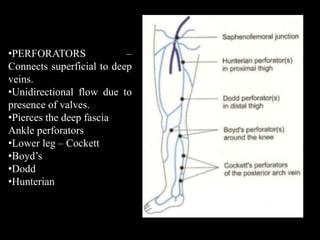 Diagnosis and radiological management of varicose vein | PPTX
