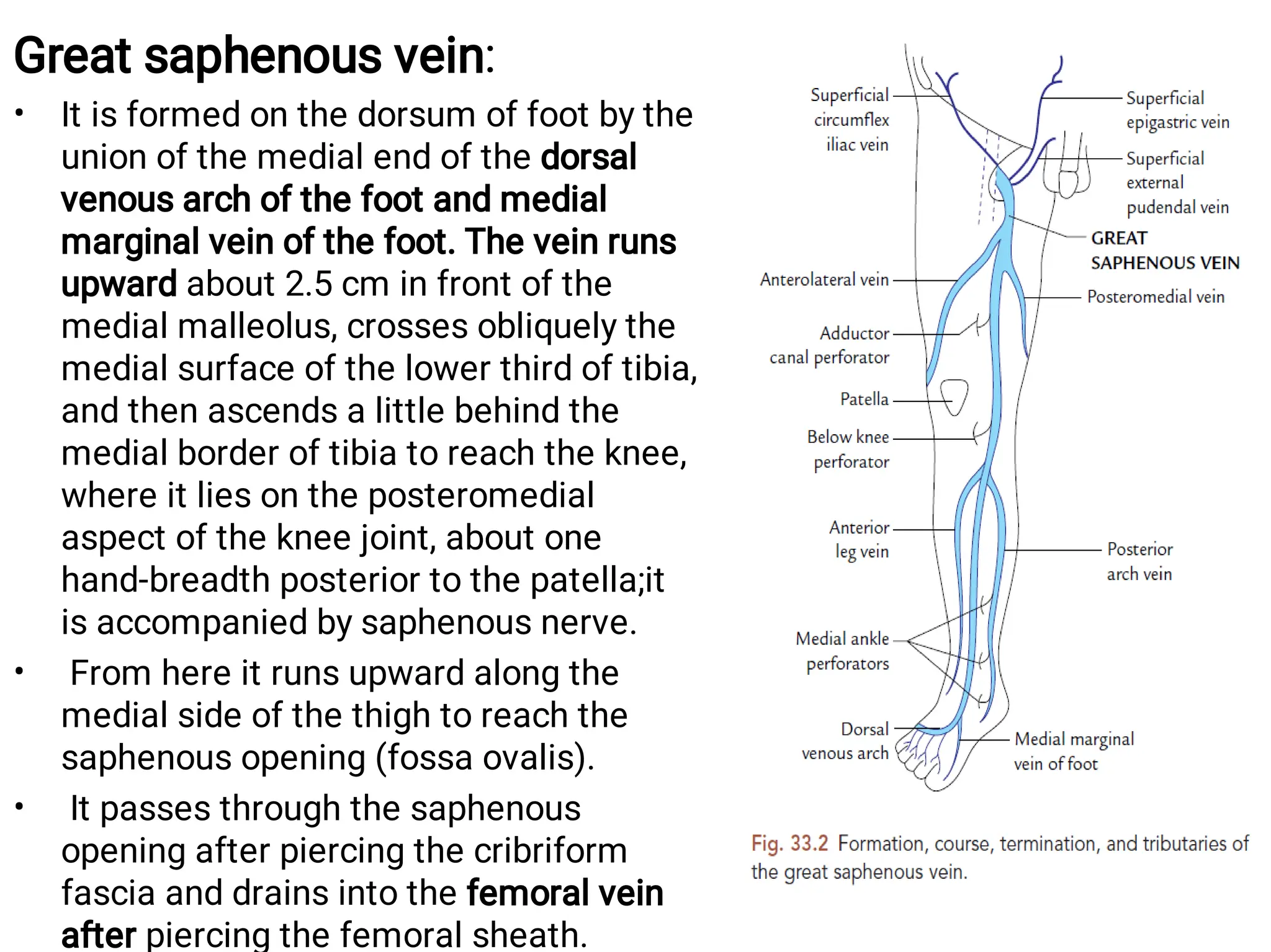 VARICOSE VEINS direct slides ppt lecture hall | PDF
