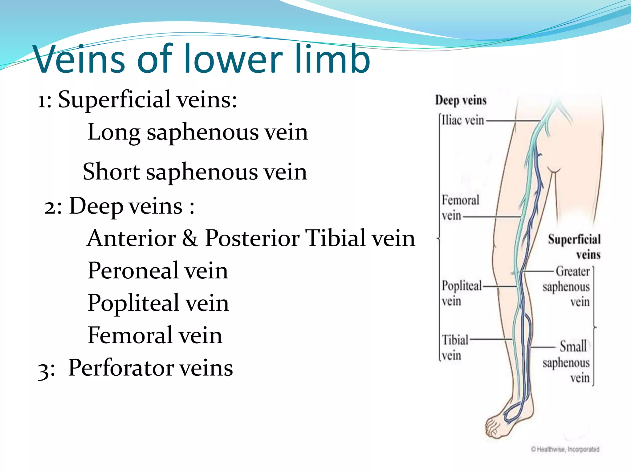 Venous Disorders- gunabhi.ppt