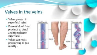 VARICOSE VEINS & DEEP VENOUS THROMBOSIS.pptx