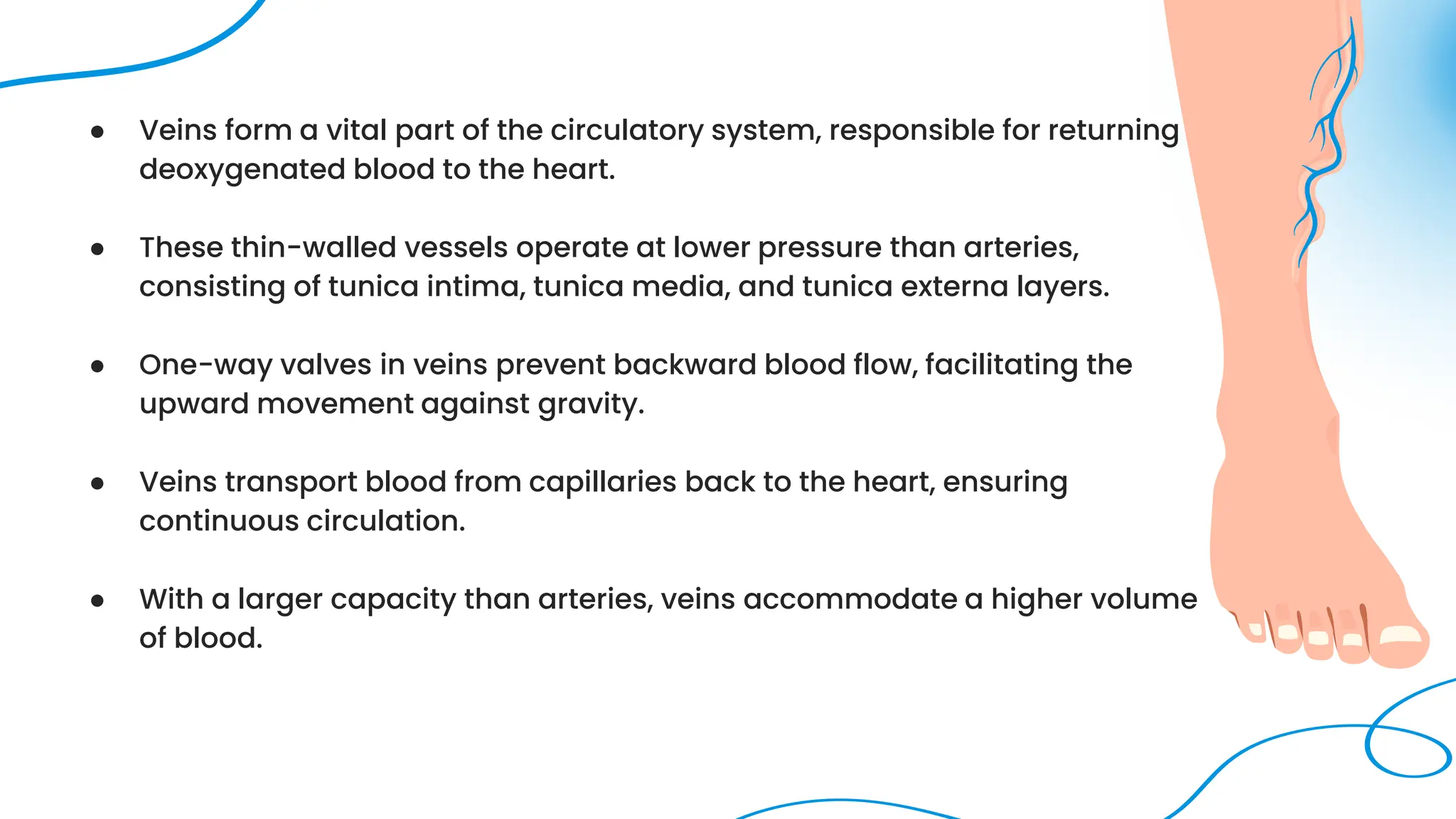 Varicose Veins Types & Symptoms | PPTX