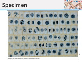 Varied Types of Contrived Experiences | PDF