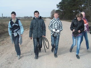 Švari Žemė | PPT | Free Download