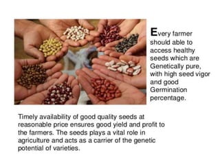 Varietal characteristics seed and odv testing of seeds ppt | PPTX
