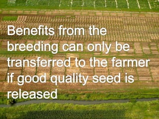 Varietal characteristics seed and odv testing of seeds ppt | PPTX
