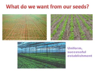 Varietal characteristics seed and odv testing of seeds ppt | PPTX