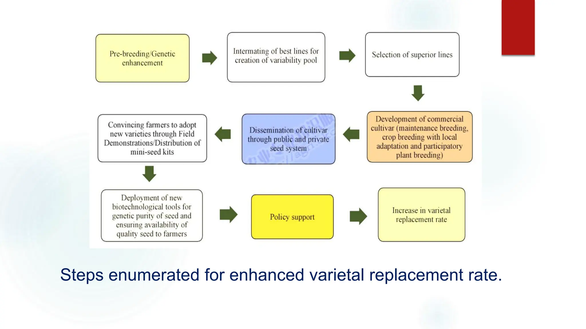 Varietal Replacement Rate in agriculture | PPTX