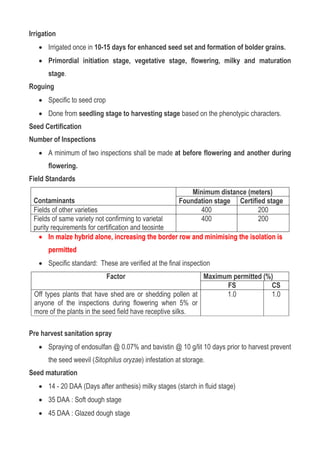 VARIETAL SEED PRODUCTION IN MAIZE.pdf