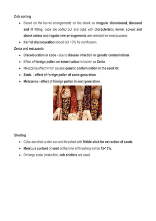 VARIETAL SEED PRODUCTION IN MAIZE.pdf