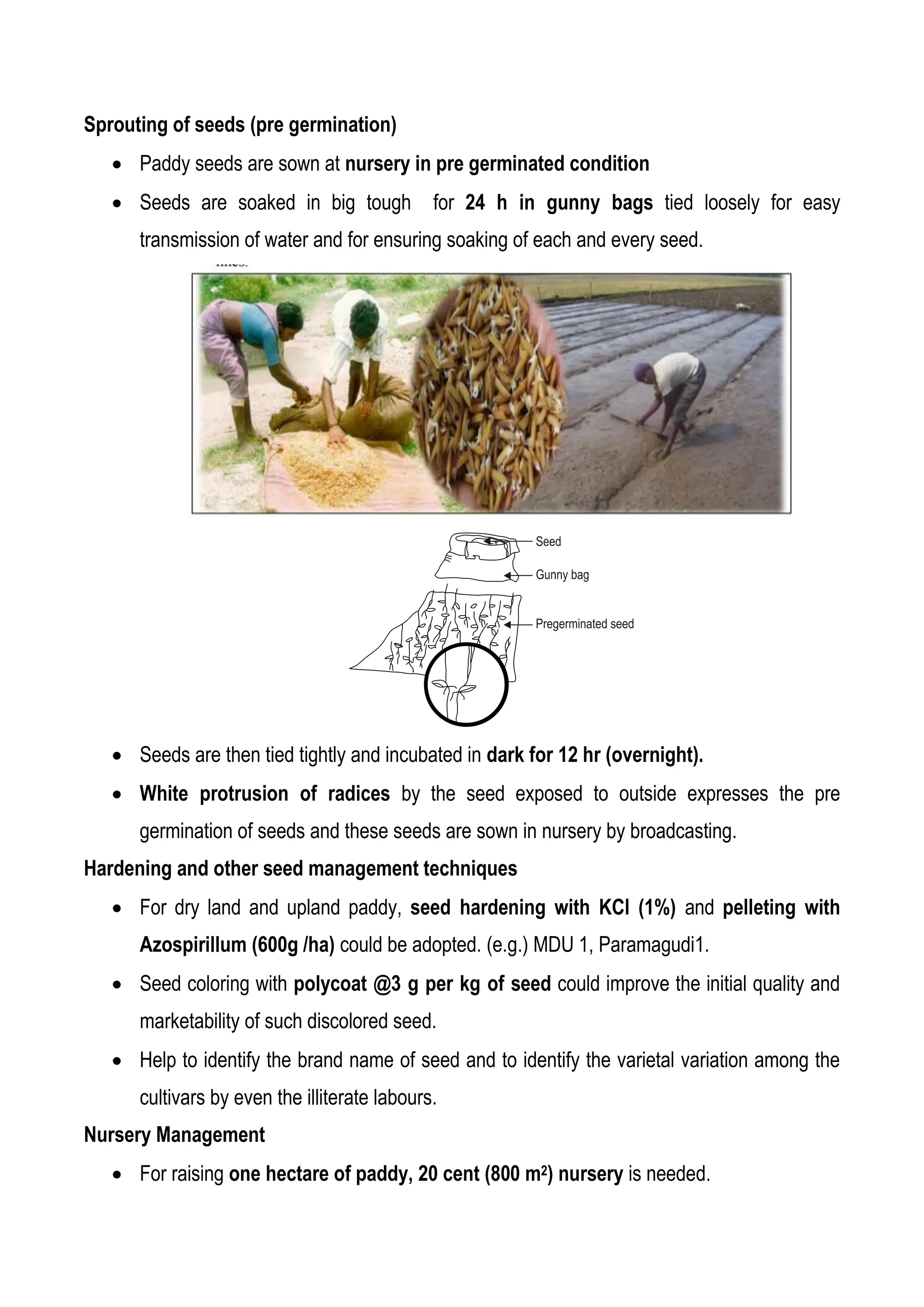 VARIETAL SEED PRODUCTION IN PADDY.pdf
