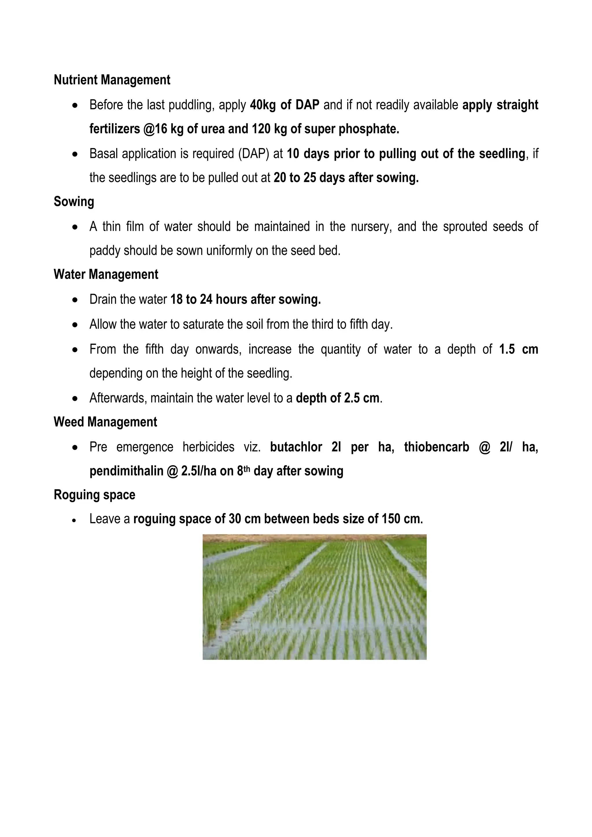 VARIETAL SEED PRODUCTION IN PADDY.pdf
