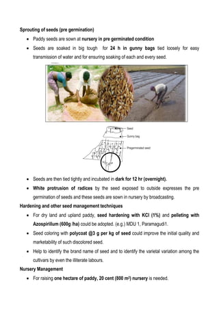 VARIETAL SEED PRODUCTION IN PADDY.pdf