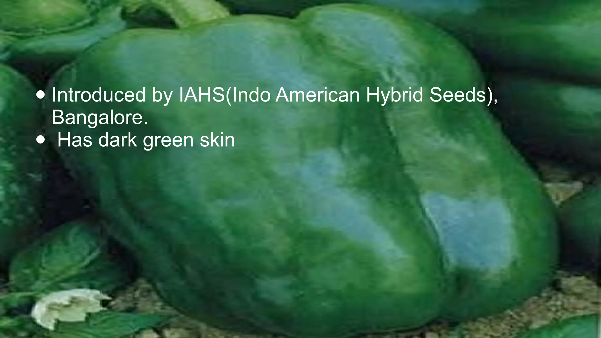 Varieties of capsicum in India | PPT