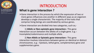 varieties of gene interaction(220705180035).pptx | Genetics | Science