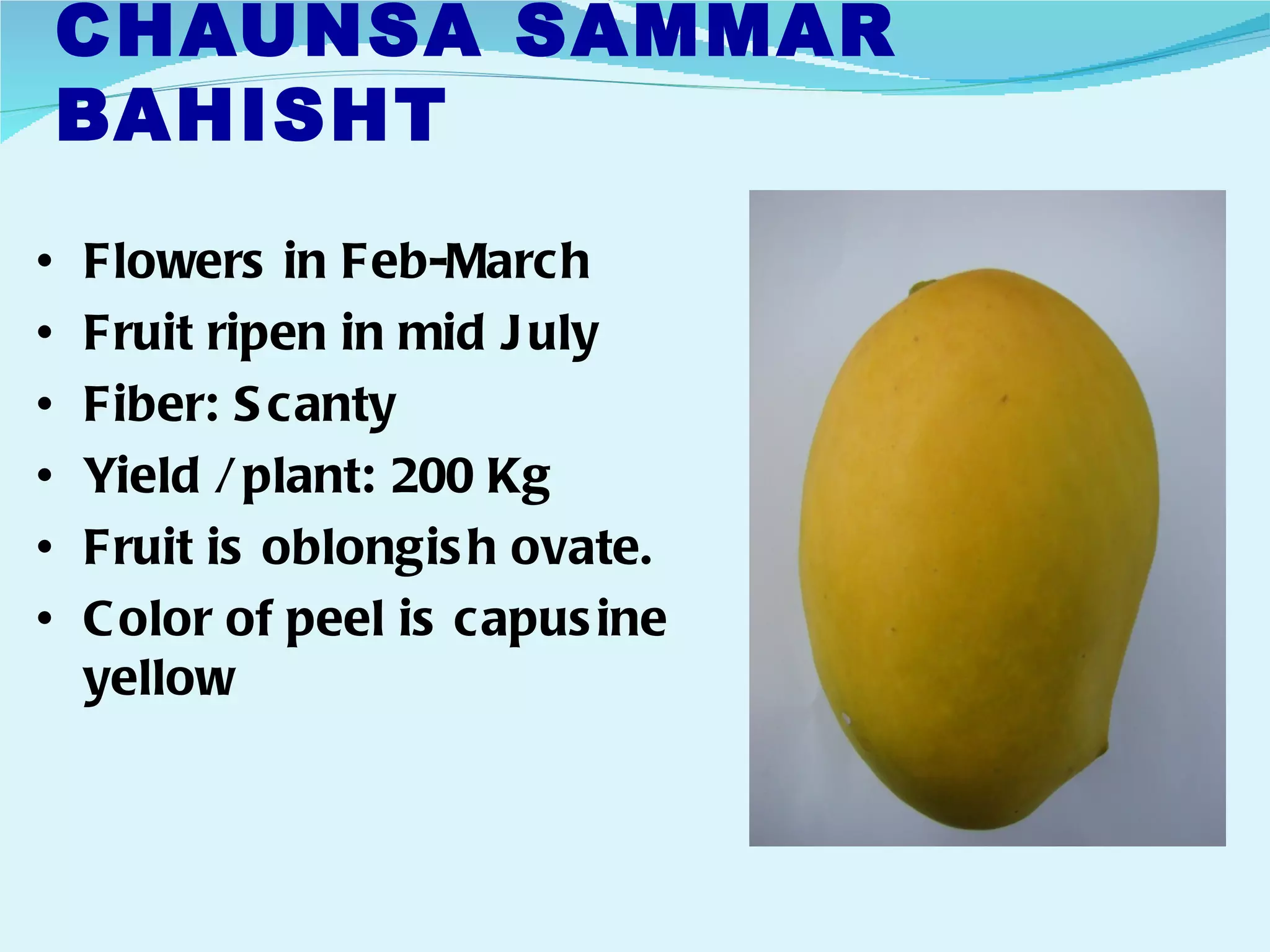 Common Varieties of Mango | PPT