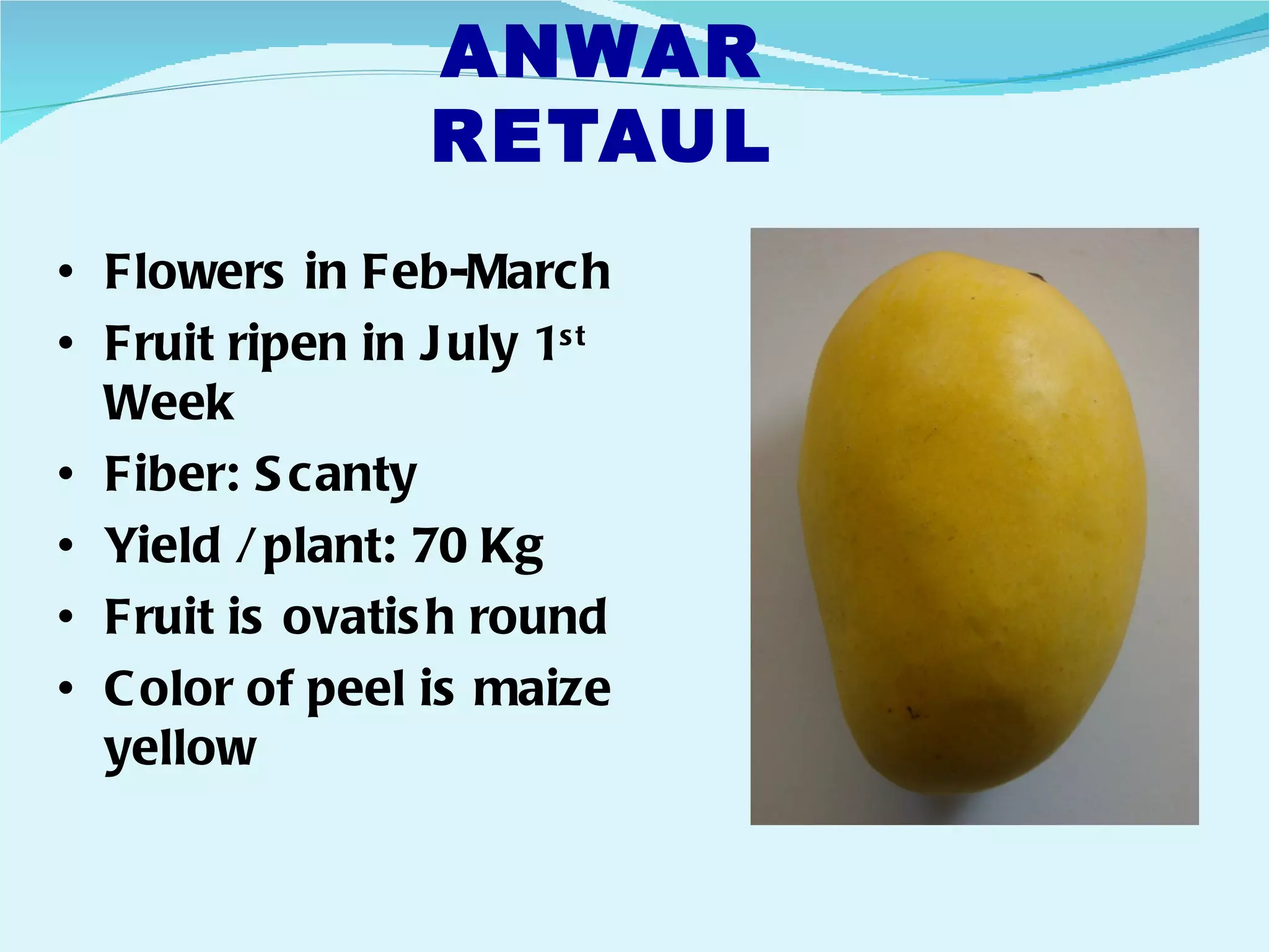 Common Varieties of Mango | PPT