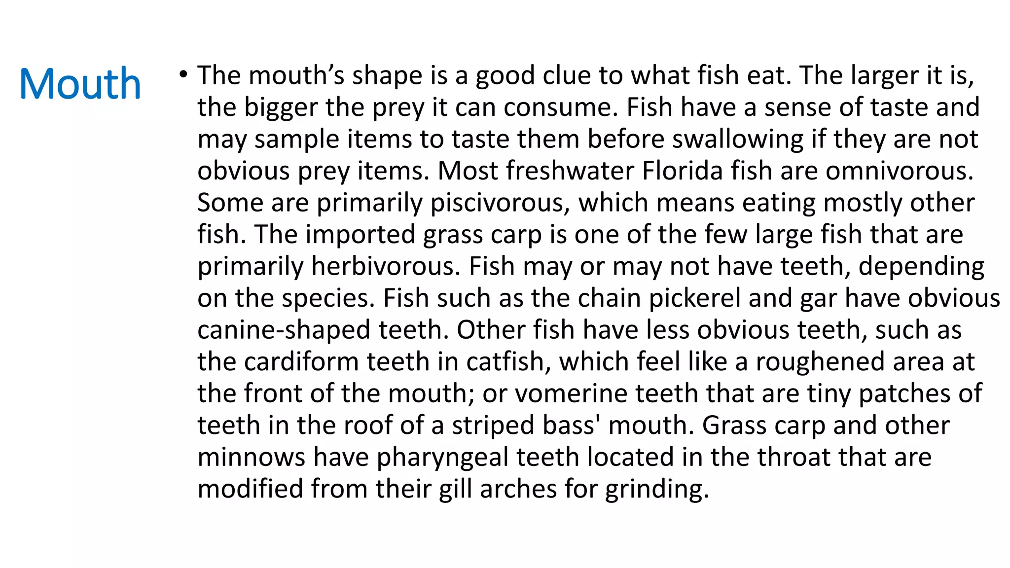 Varieties of seafood tle cookery grade 10 lesson | PPTX