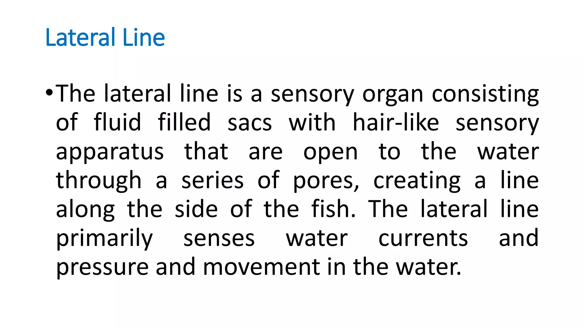 Varieties of seafood tle cookery grade 10 lesson | PPTX