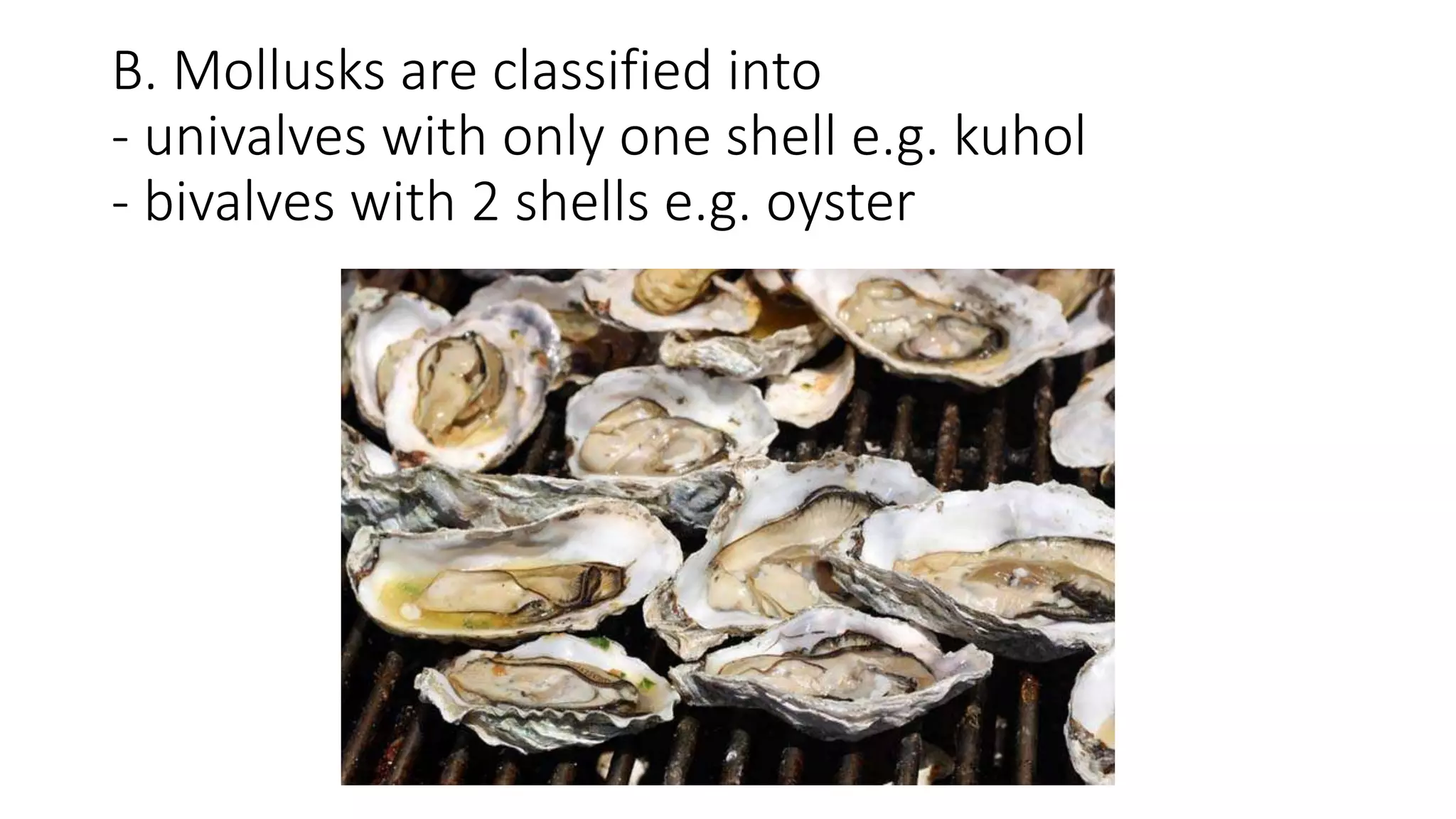 Varieties of seafood tle cookery grade 10 lesson | PPTX