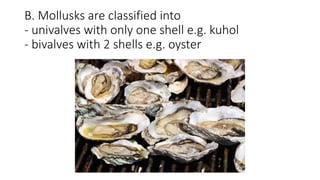 Varieties of seafood tle cookery grade 10 lesson | PPTX