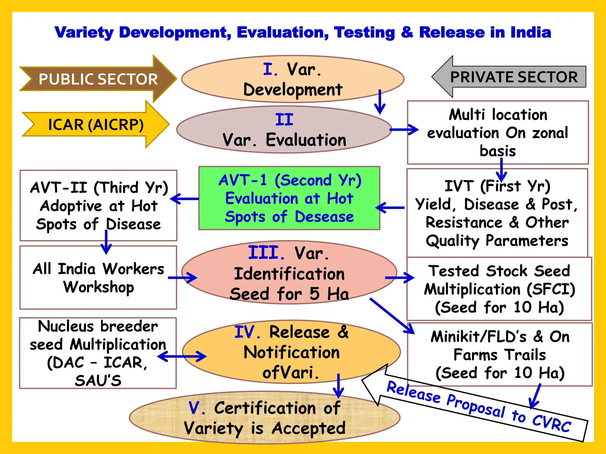 Variety-Development-Evaluation-Testing-Release-in-India.pdf