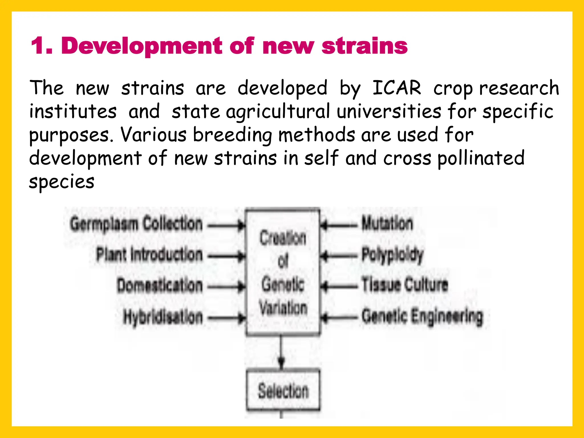 Variety-Development-Evaluation-Testing-Release-in-India.pdf