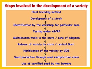 Variety-Development-Evaluation-Testing-Release-in-India.pdf