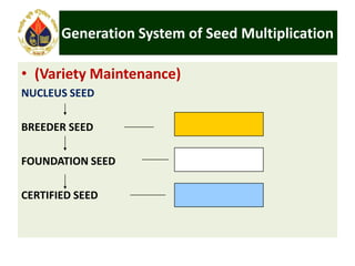 Variety maintenance & Seed Production in pulses | PDF