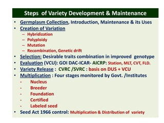 Variety maintenance & Seed Production in pulses | PDF